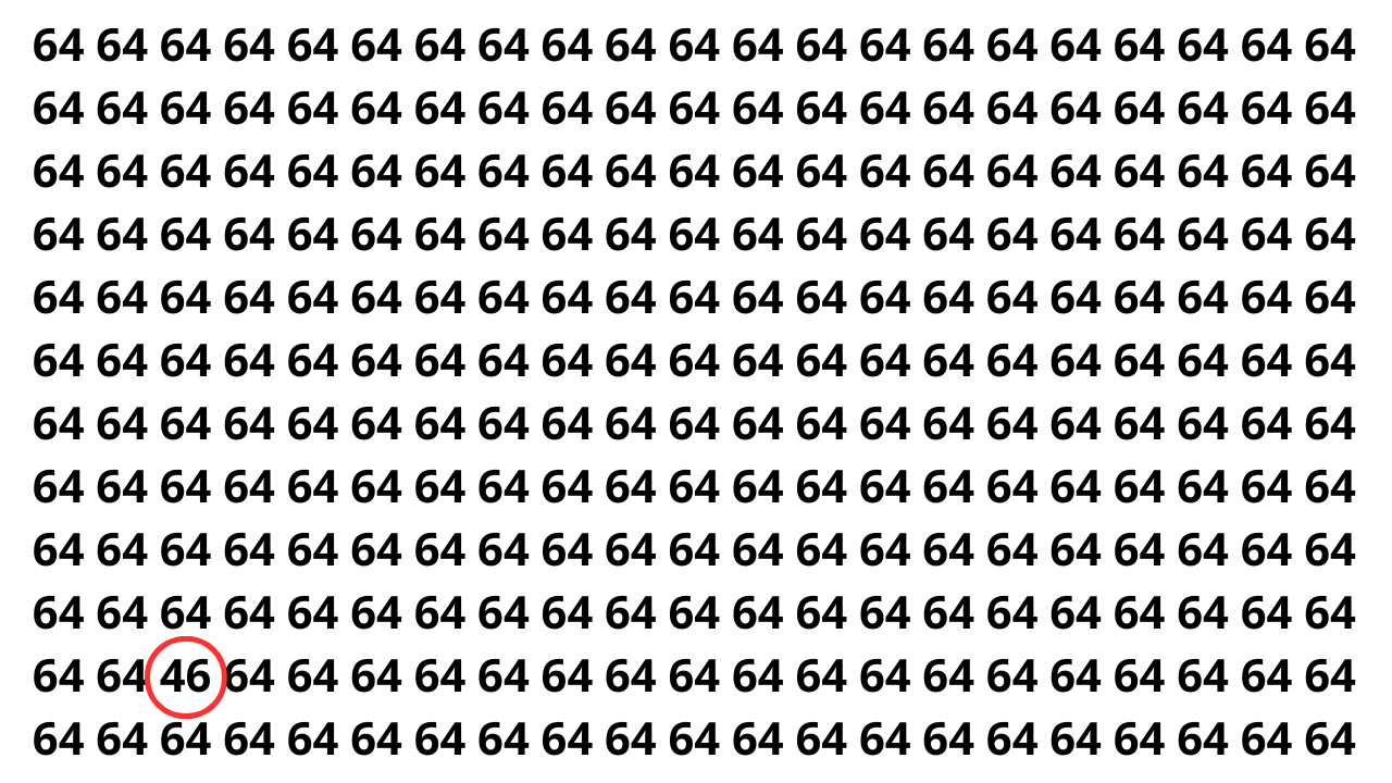 Encontre o 46 entre os números 64 em menos de 5 segundos - Cidade de ...