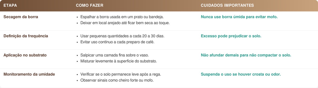 Borra de café na samambaia: Como utilizar corretamente - Cidade de Niterói